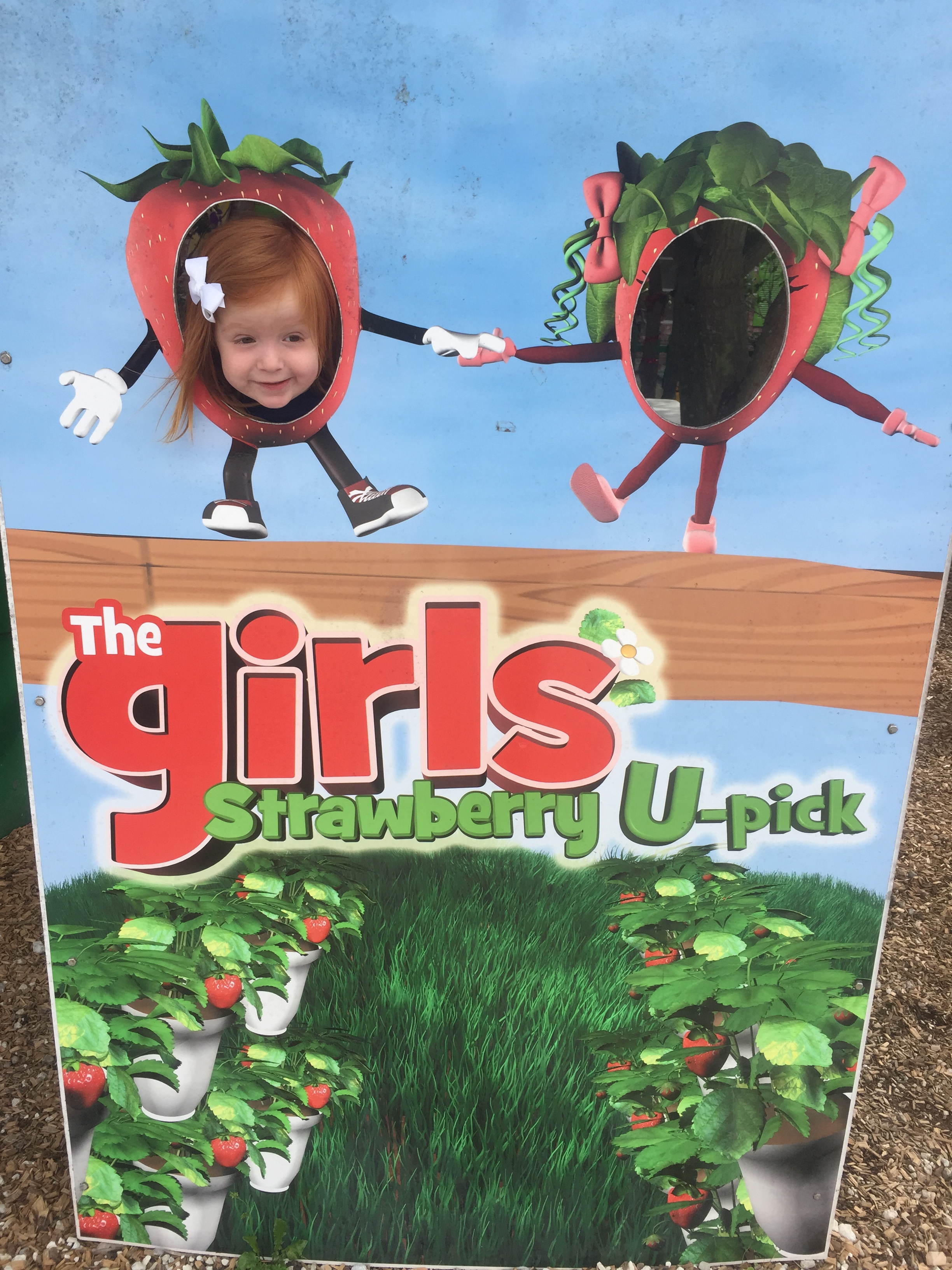 The Girls Strawberry U Pick Happy Family Blog