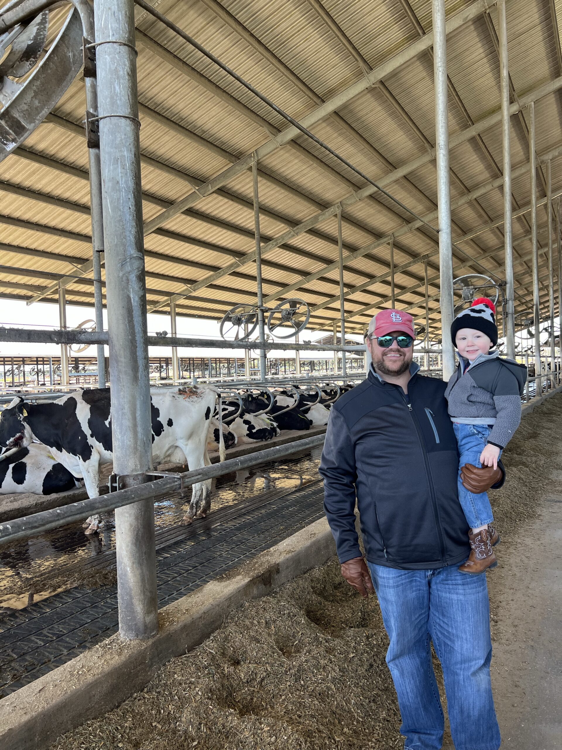 Dairy Cow Facts • Happy Family Blog