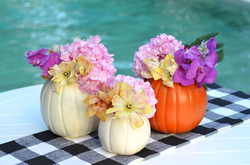 How to Celebrate Fall in Florida • Happy Family Blog