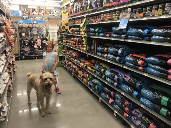 5 Money Saving Tips for Big Dog Owners • Happy Family Blog