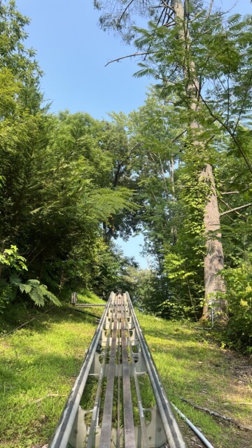 Best Things to Do in Pigeon Forge for Families • Happy Family Blog